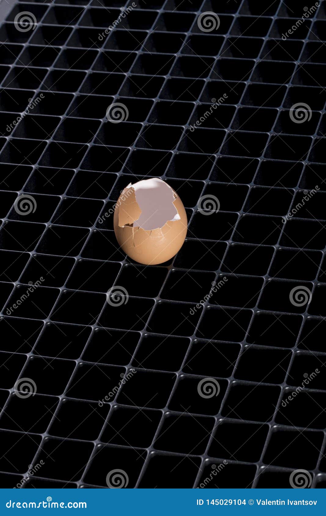 Eggshell in a Cell on a Dark Background of Geometric Shapes Stock Photo ...