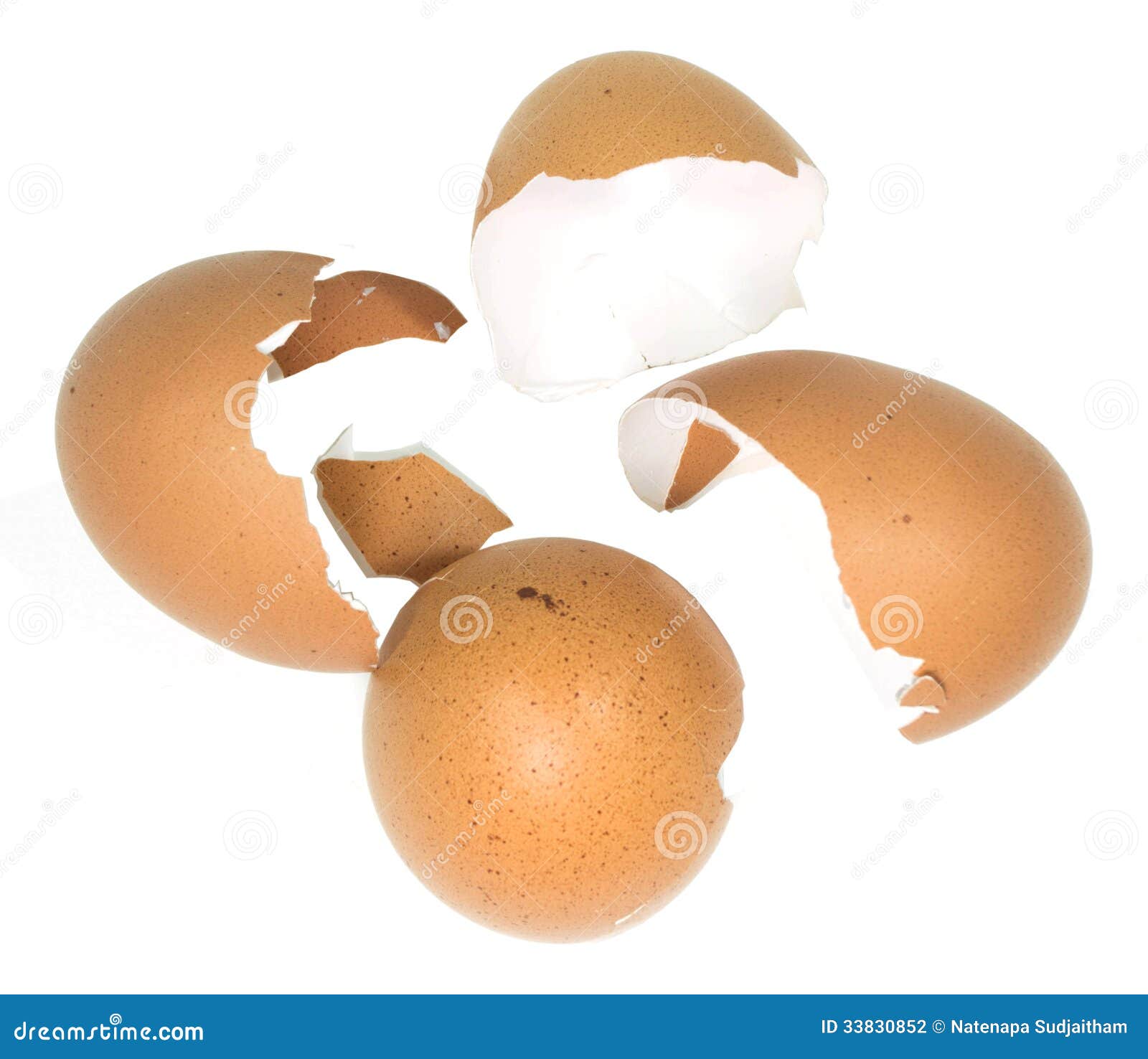 Eggshell stock photo. Image of cholesterol, chick, eating - 33830852