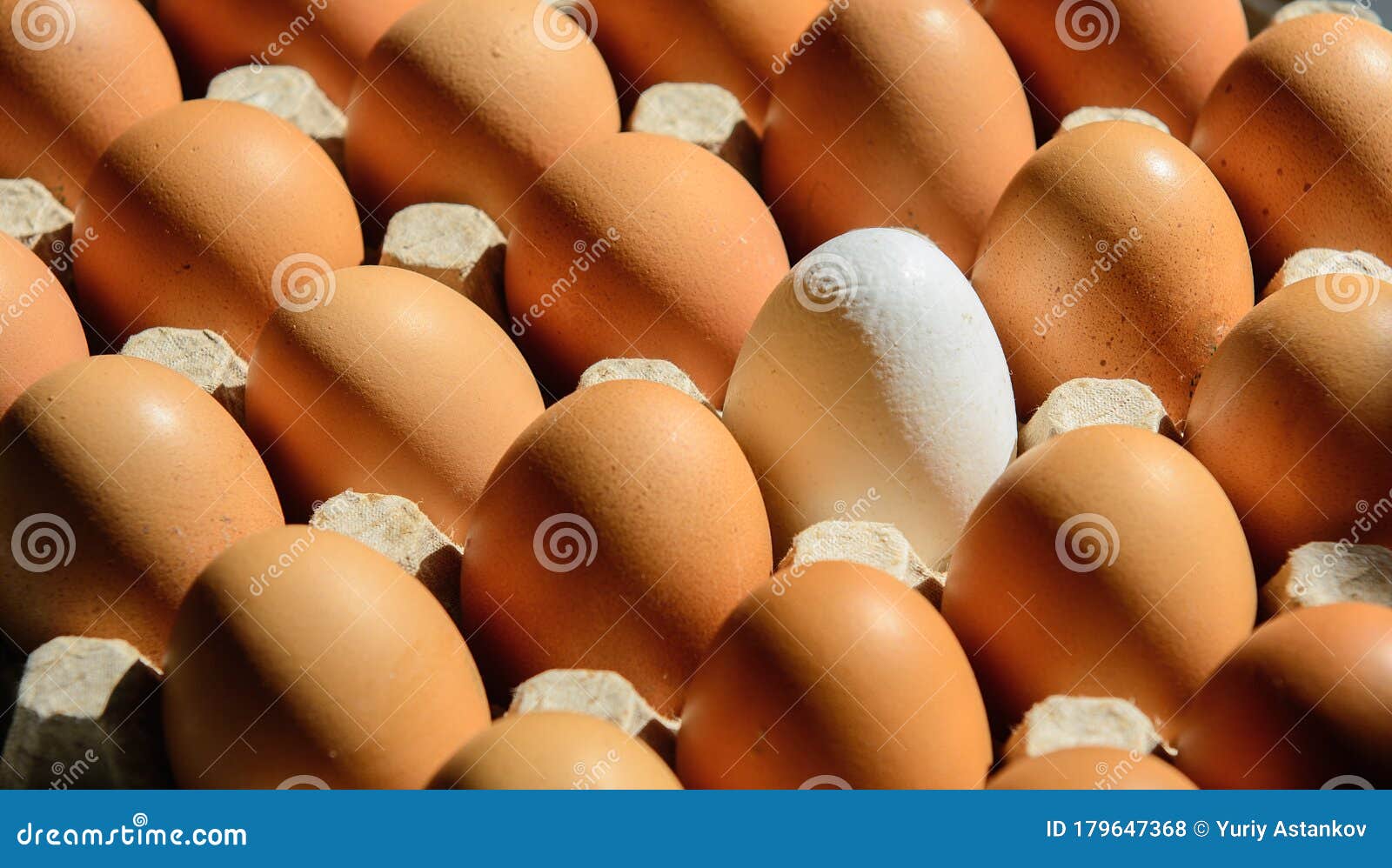 The Eggshell Contains Brown Eggshells Stock Photo - Image of farm ...