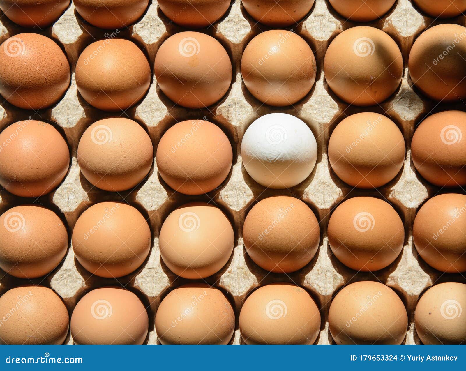 The Eggshell Contains Brown Eggshells Stock Photo - Image of cassette ...