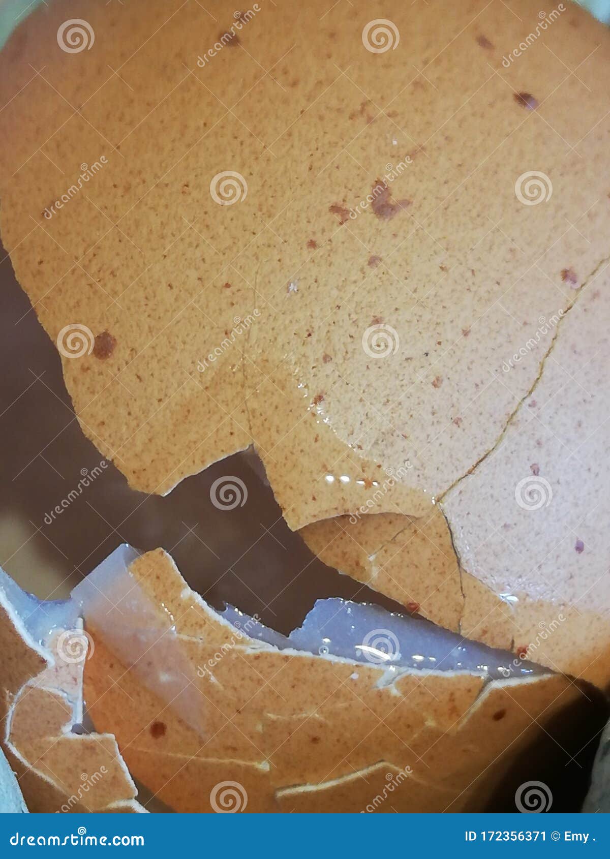 Eggshell Cracked Broken Egg Sharp Stock Image - Image of broken ...