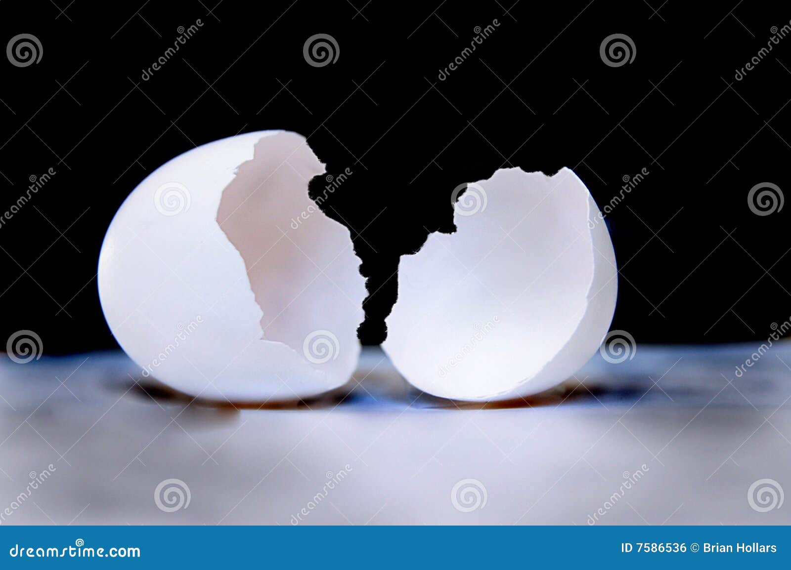 Eggshell Royalty-Free Stock Photo | CartoonDealer.com #21811371