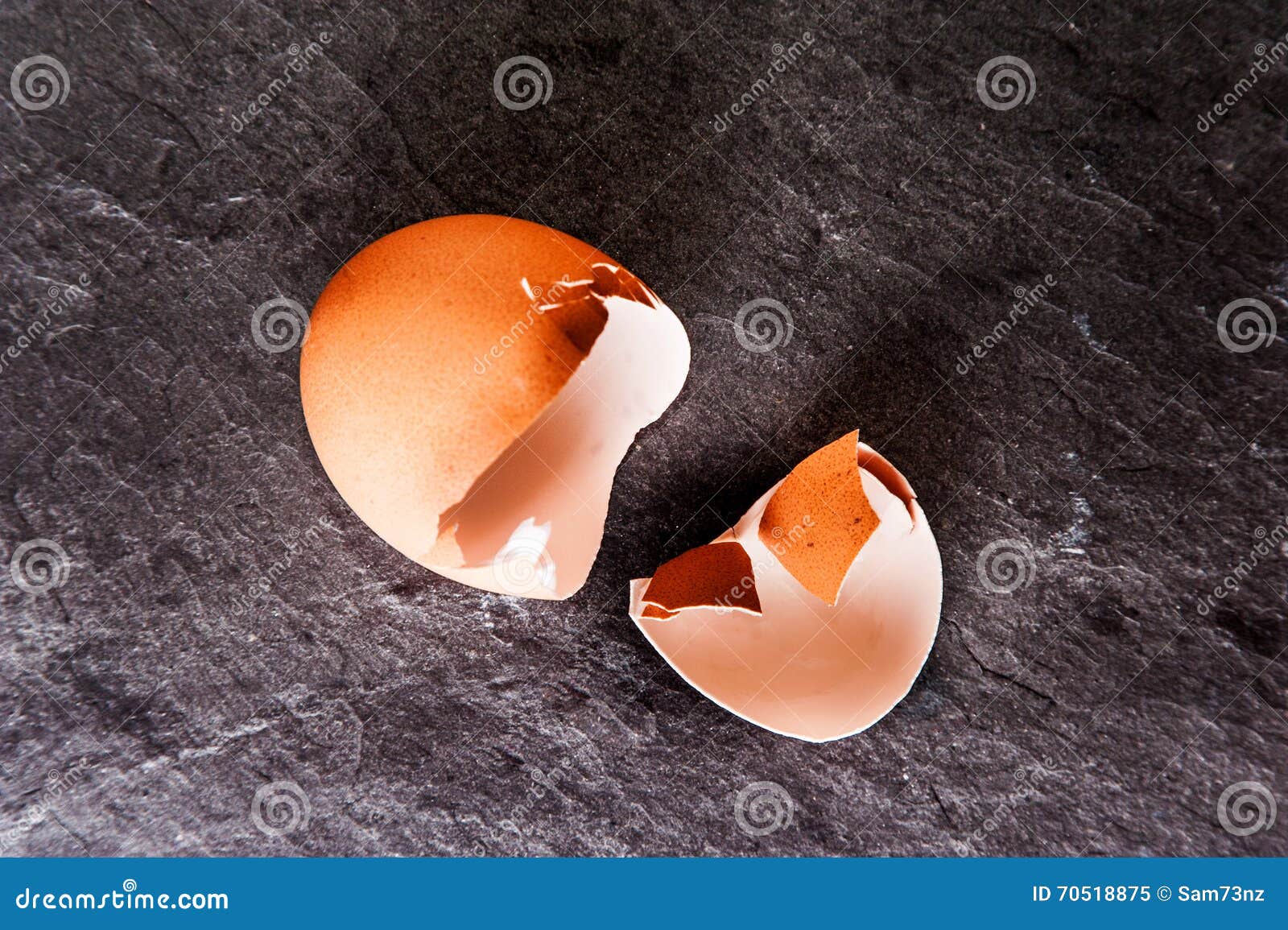 Eggshell on Dark Background Stock Image - Image of farm, protein: 70518875