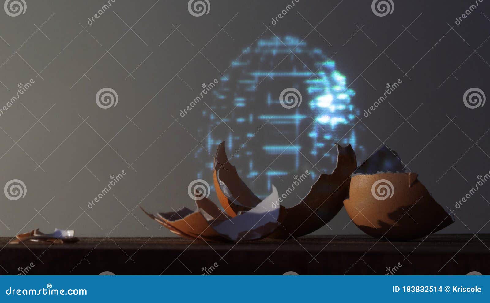 Eggshell Fragments and a Hologram of an Entire Artificial Egg, Stock ...