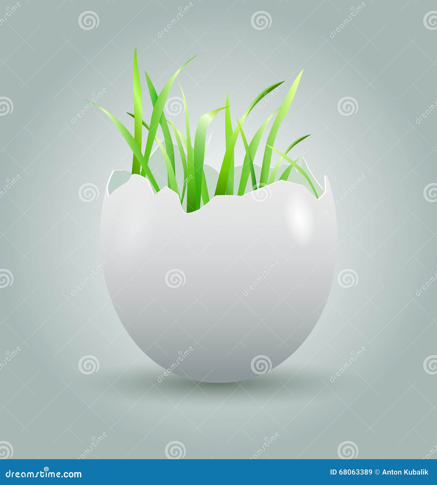 Growing Grass Sprout. Agricultural, Cultivation And Planting ...
