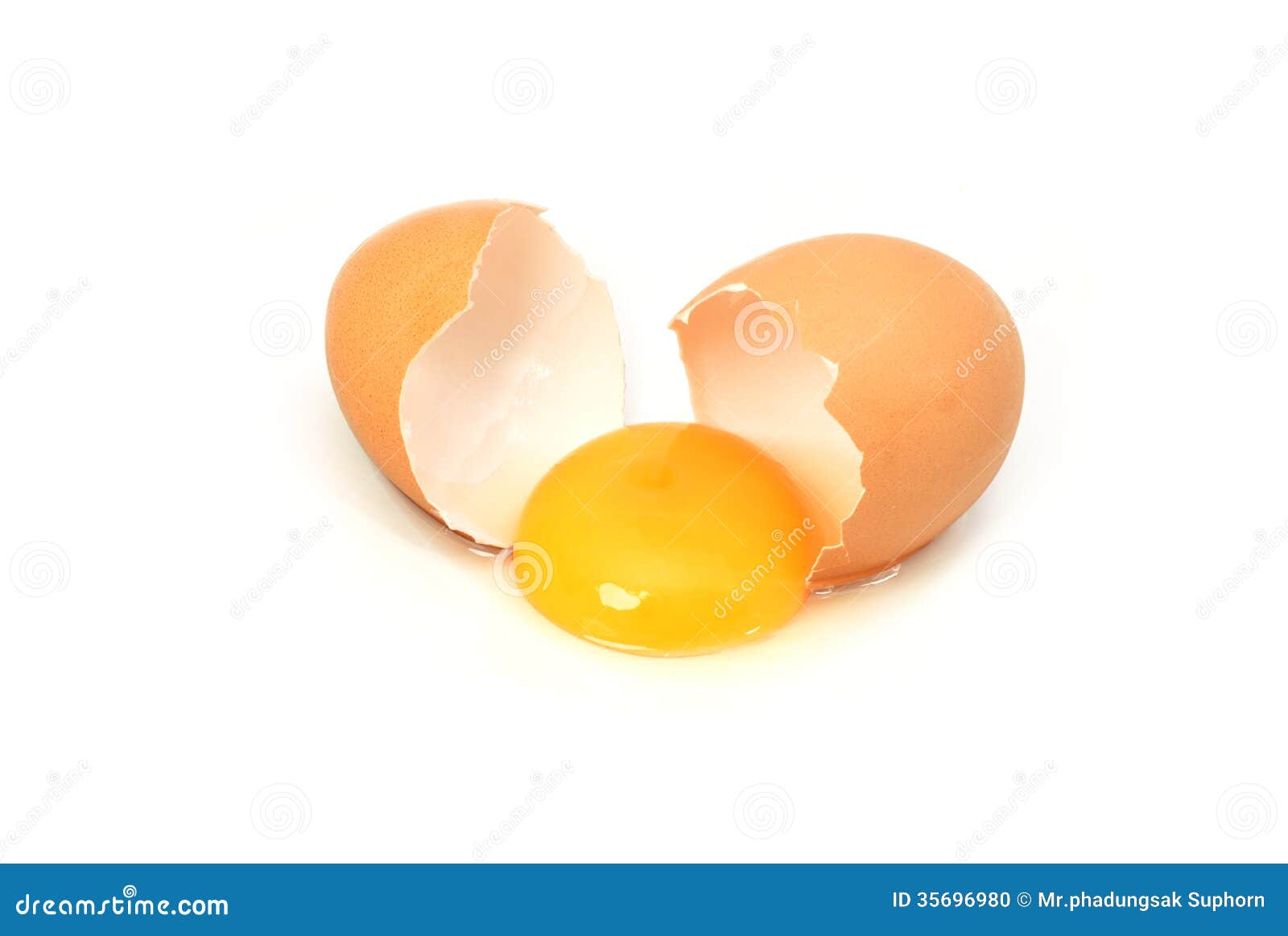 Eggshell stock photo. Image of cell, nature, embryo, cutout - 35696980