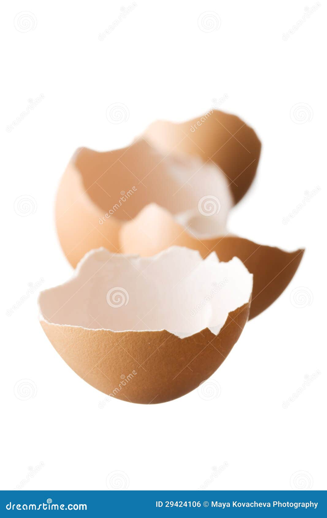 Eggshell Isolated on White Background Stock Photo - Image of closeup ...