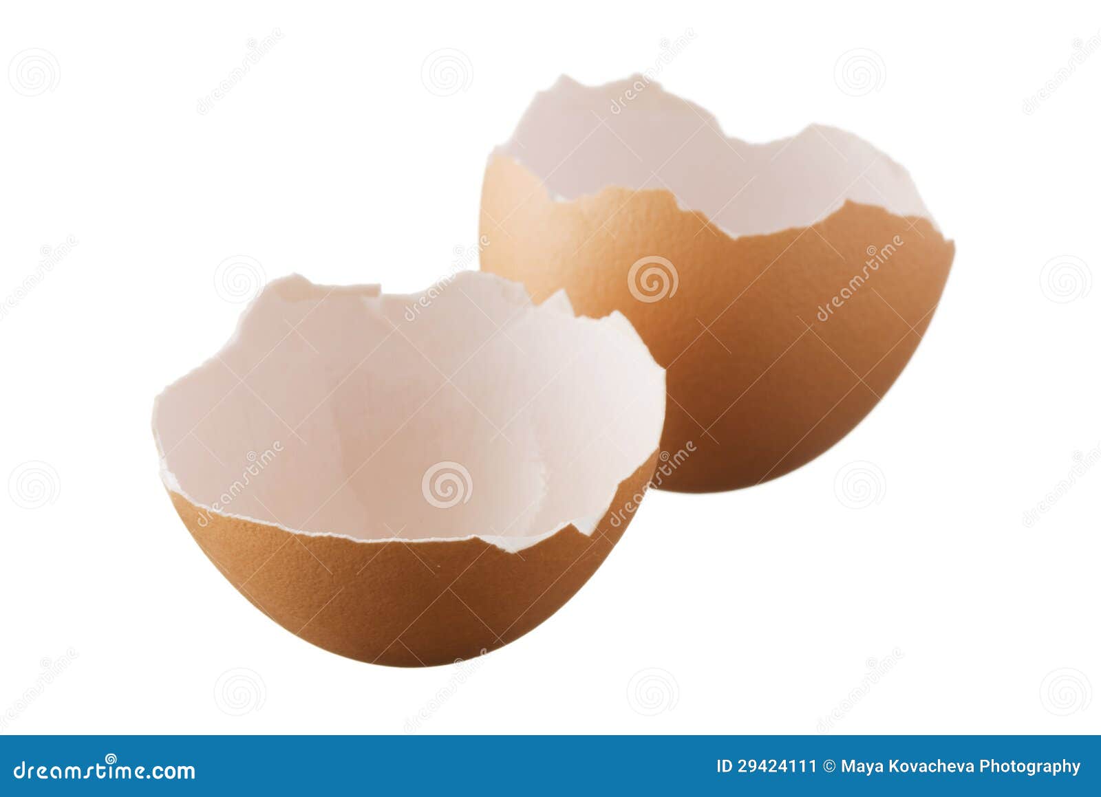 Eggshell Isolated on White Background Stock Image - Image of horizontal ...