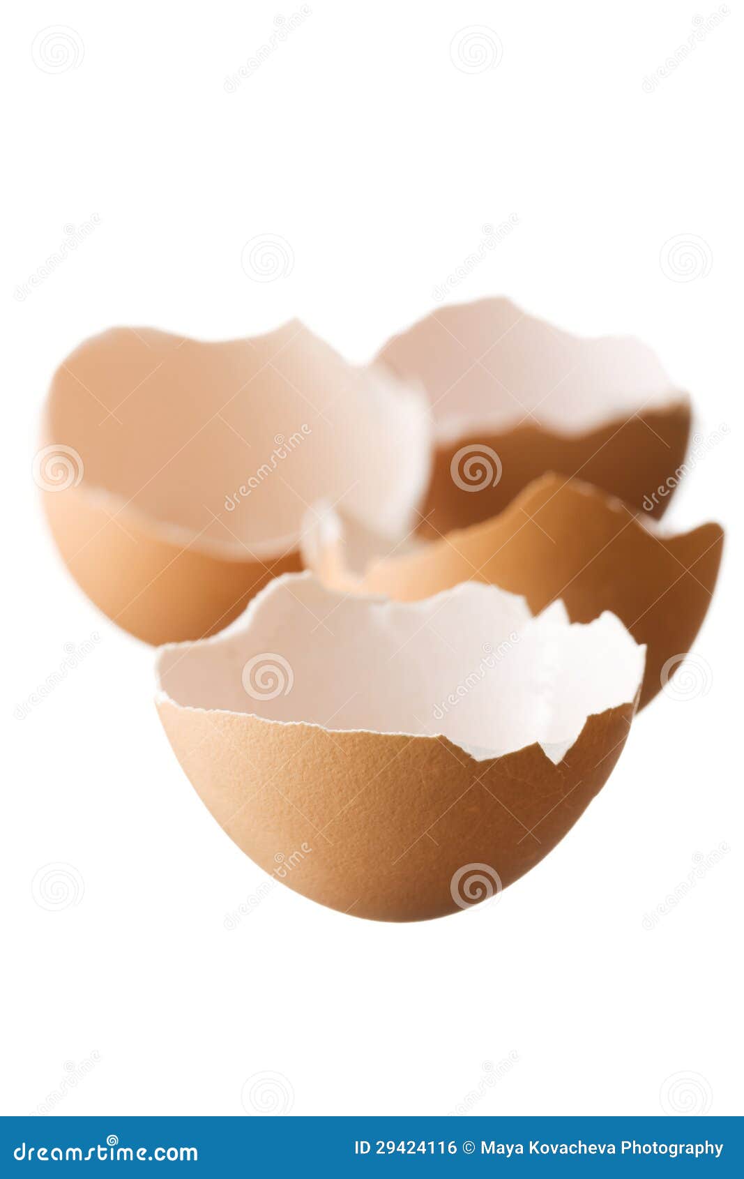 Eggshell Isolated on White Background Stock Photo - Image of absence ...