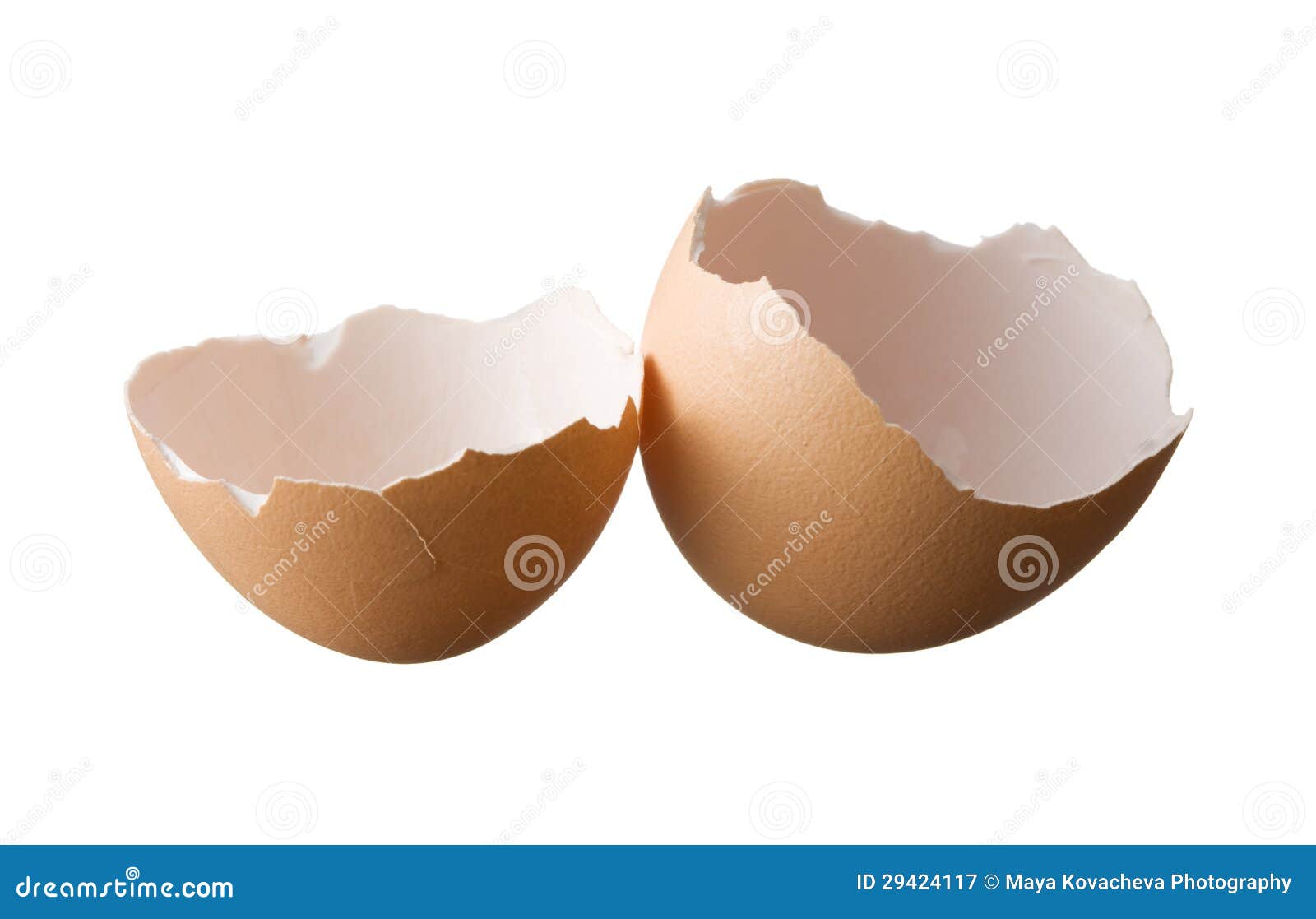 Eggshell Isolated on White Background Stock Image - Image of empty ...
