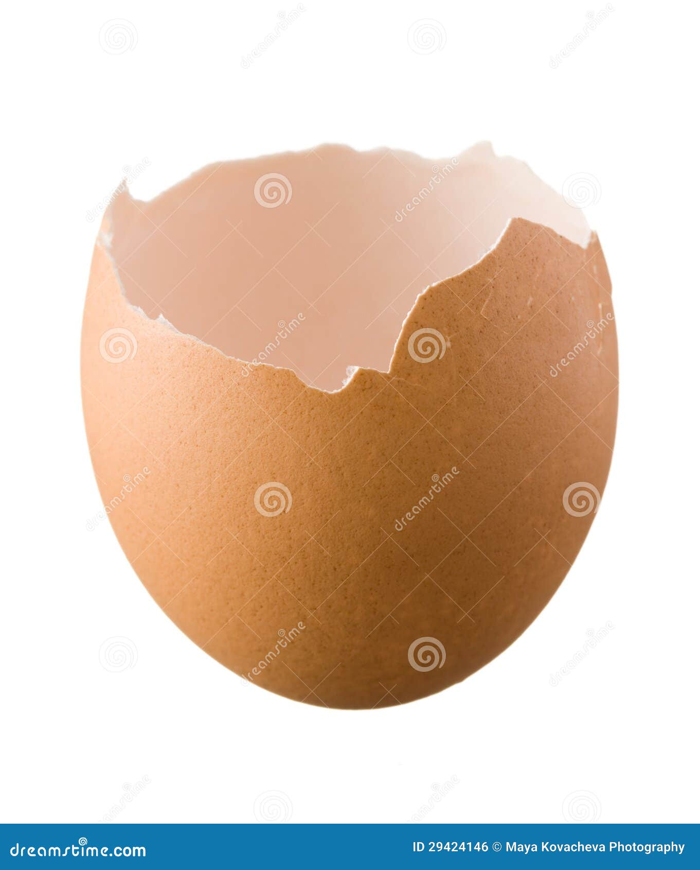 Eggshell Isolated on White Background Stock Photo - Image of shot ...