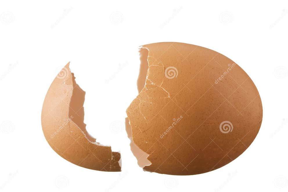 Eggshell Isolated on White Background Stock Image - Image of close ...