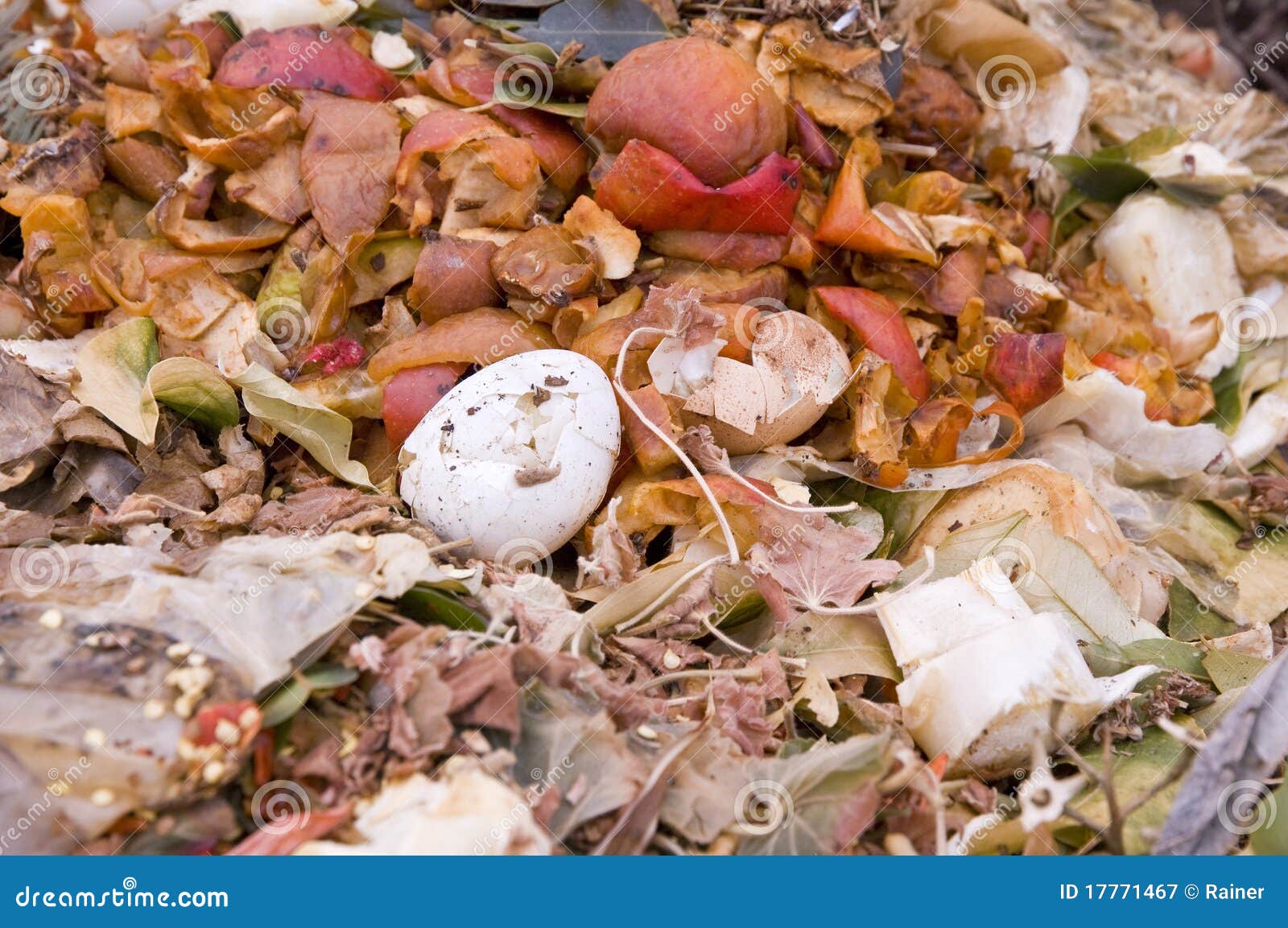An Eggshell in the Kitchen Waste Stock Image - Image of vegetable ...