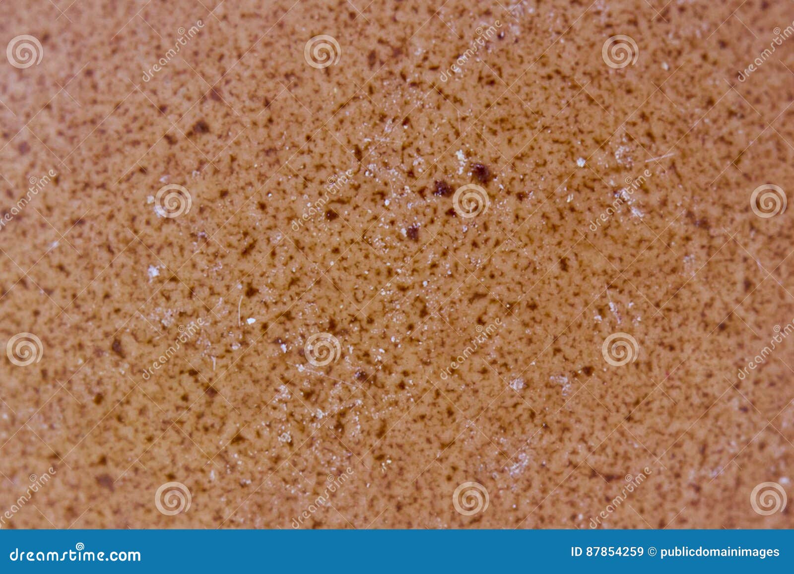 Eggshell Macro Picture. Image: 87854259