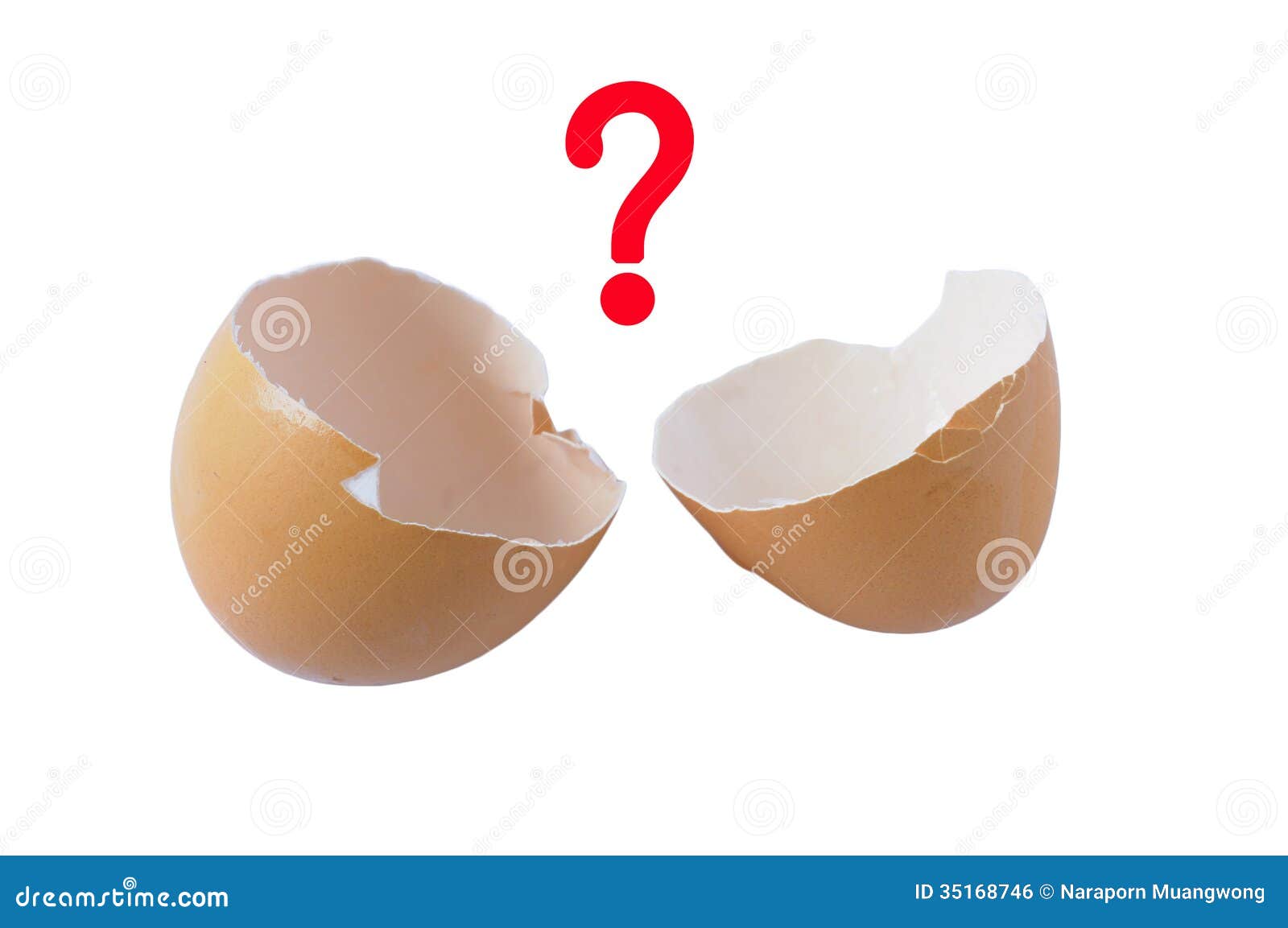 Eggshell stock photo. Image of question, brainstorming - 35168746