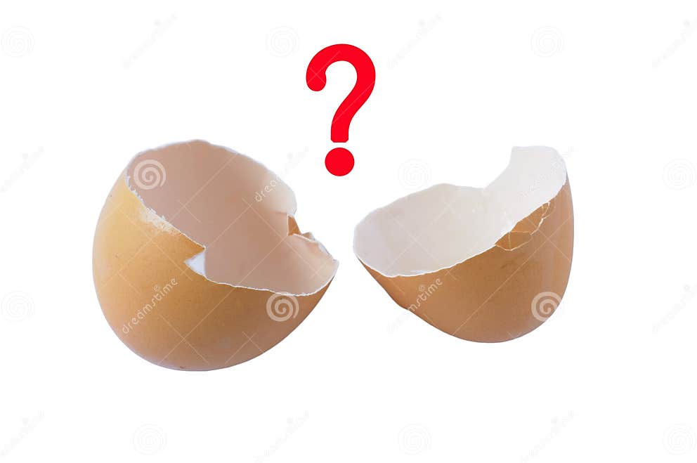 Eggshell stock photo. Image of question, brainstorming - 35168746