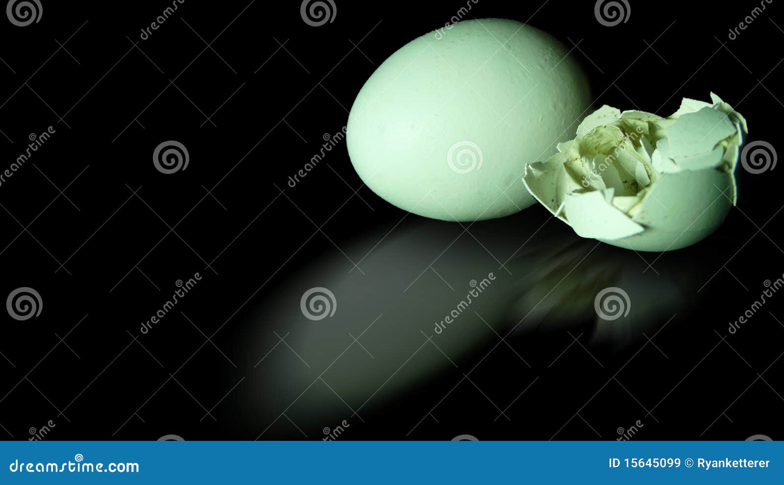 Eggshell Shine stock image. Image of failure, abstract - 15645099