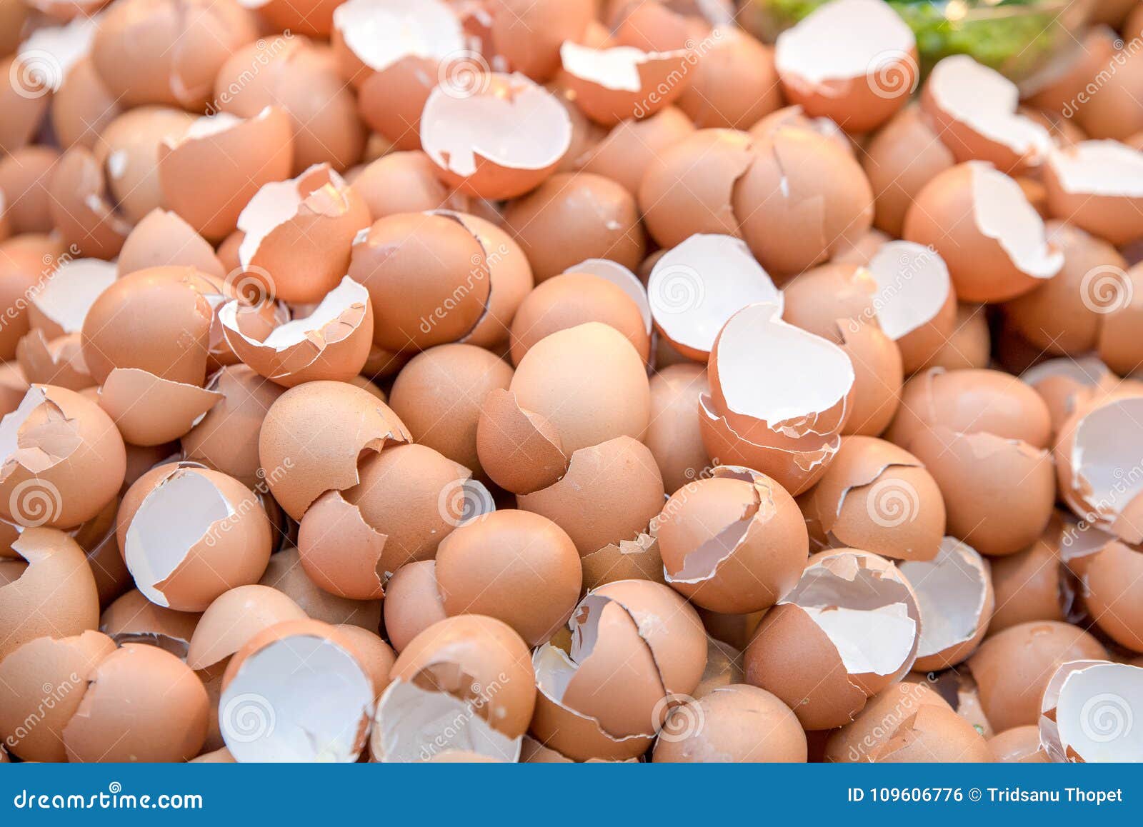 Eggshell Wallpaper and Texture, Broken Eggshell Stock Photo - Image of ...