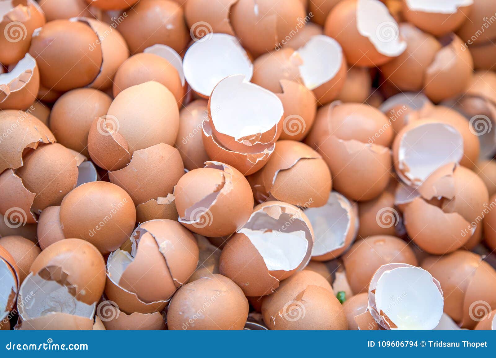 Eggshell Wallpaper and Texture, Broken Eggshell Stock Photo - Image of ...