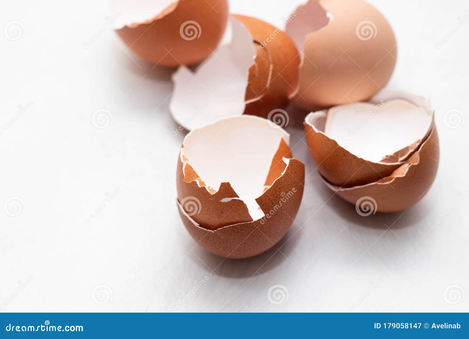 Eggshell On White Background, Eggs Isolated Royalty-Free Stock Photo ...