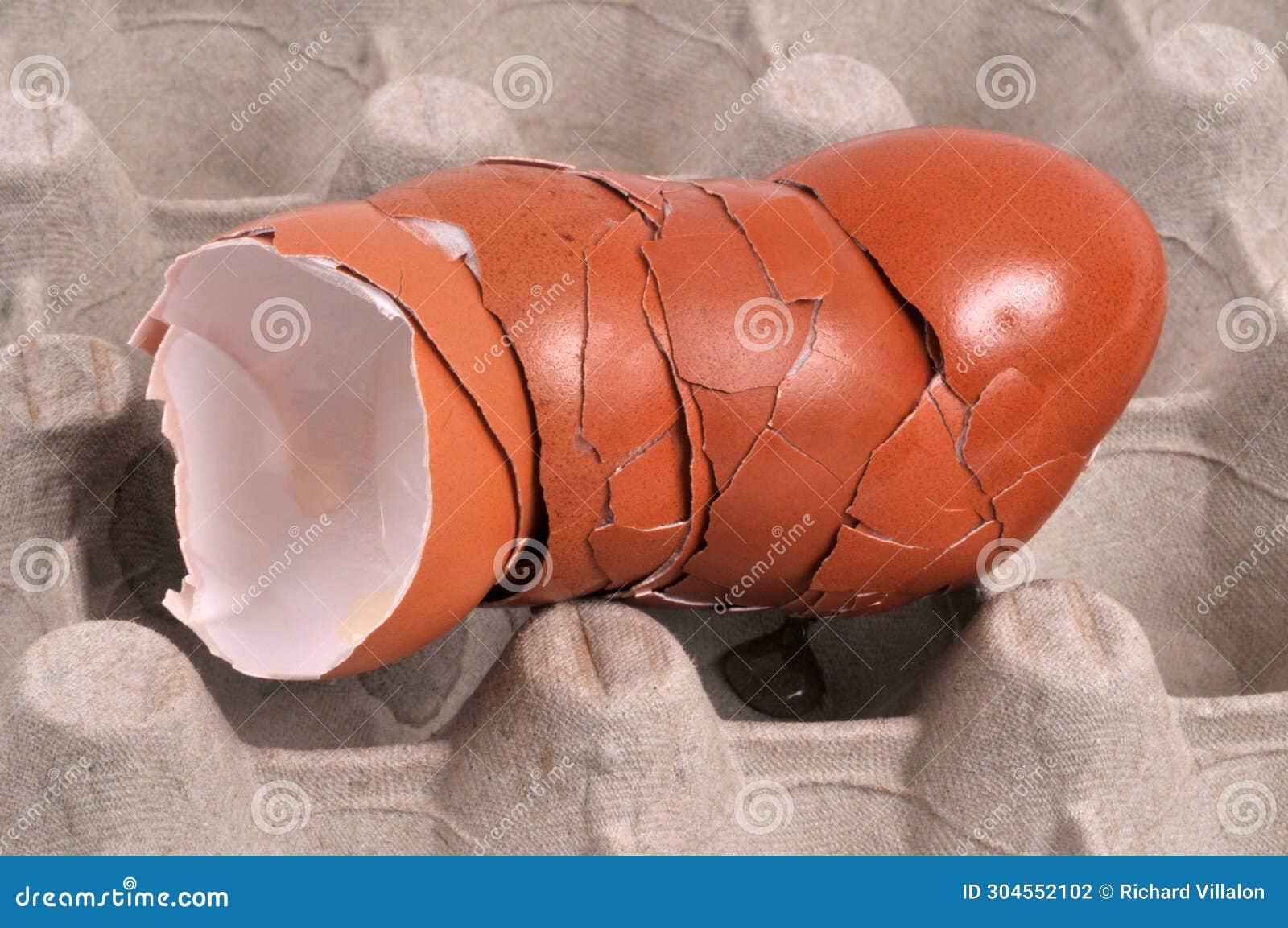 Eggshells in an Empty Egg Carton Close-up Stock Photo - Image of ...