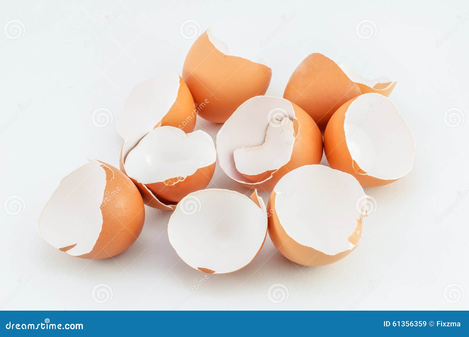 Eggshells on White Background Stock Image - Image of white, heart: 61356359