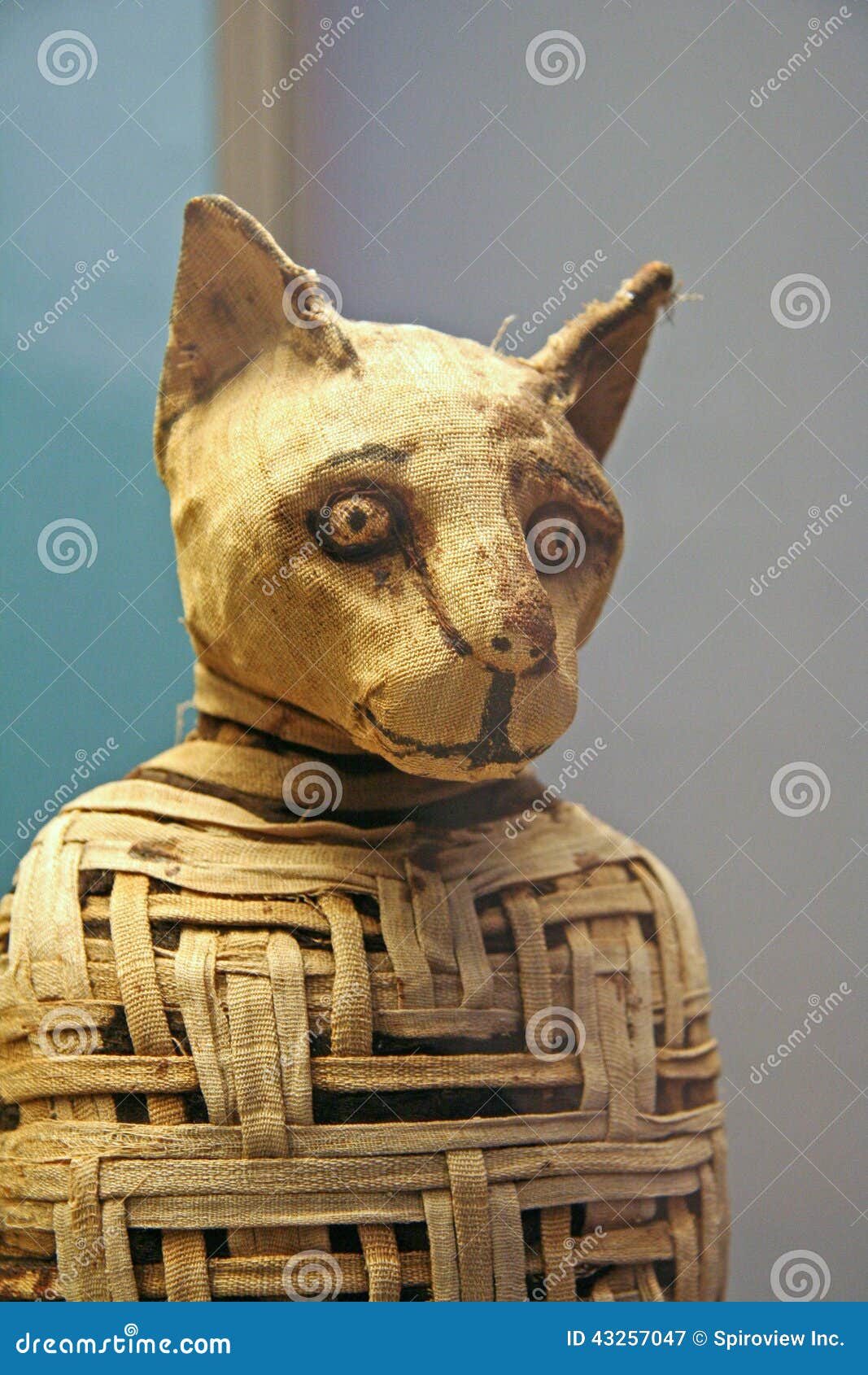 Egipcio Cat Mummy fotografía editorial. Imagen de embalsamado - 43257047