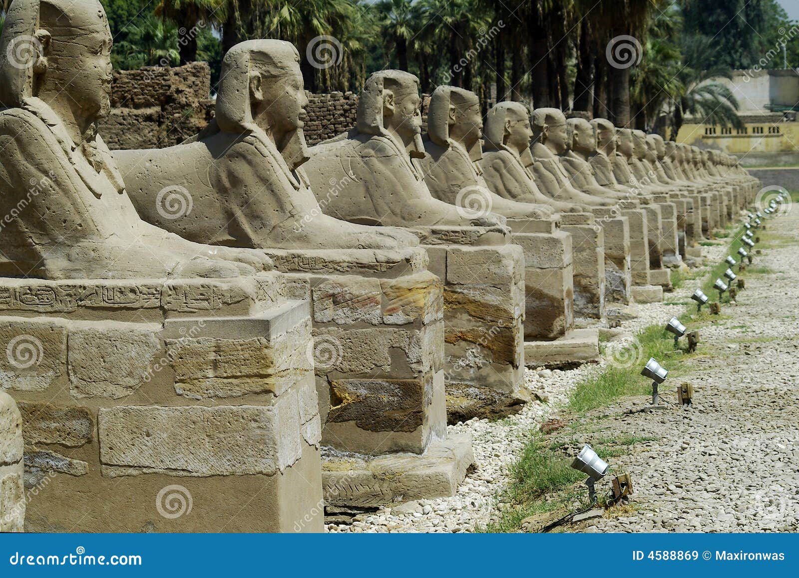 Egypt stock image. Image of mummy, hieroglific, egypt - 4588869