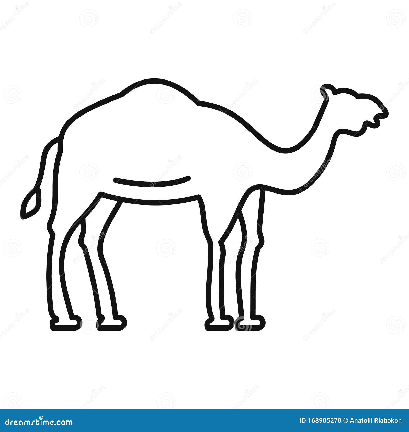 Egypt Camel Icon, Outline Style Stock Vector - Illustration of design ...