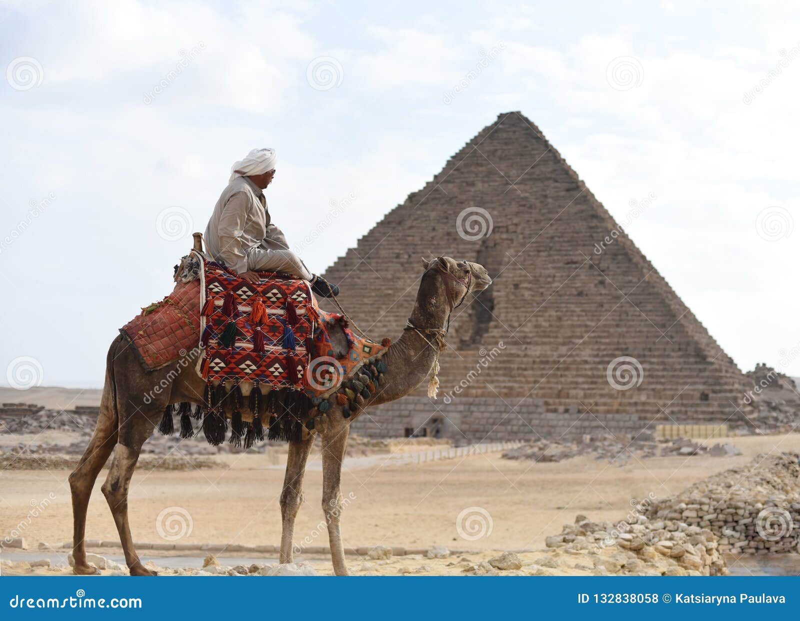 Egypt camel editorial stock photo. Image of egypt, desert - 132838058