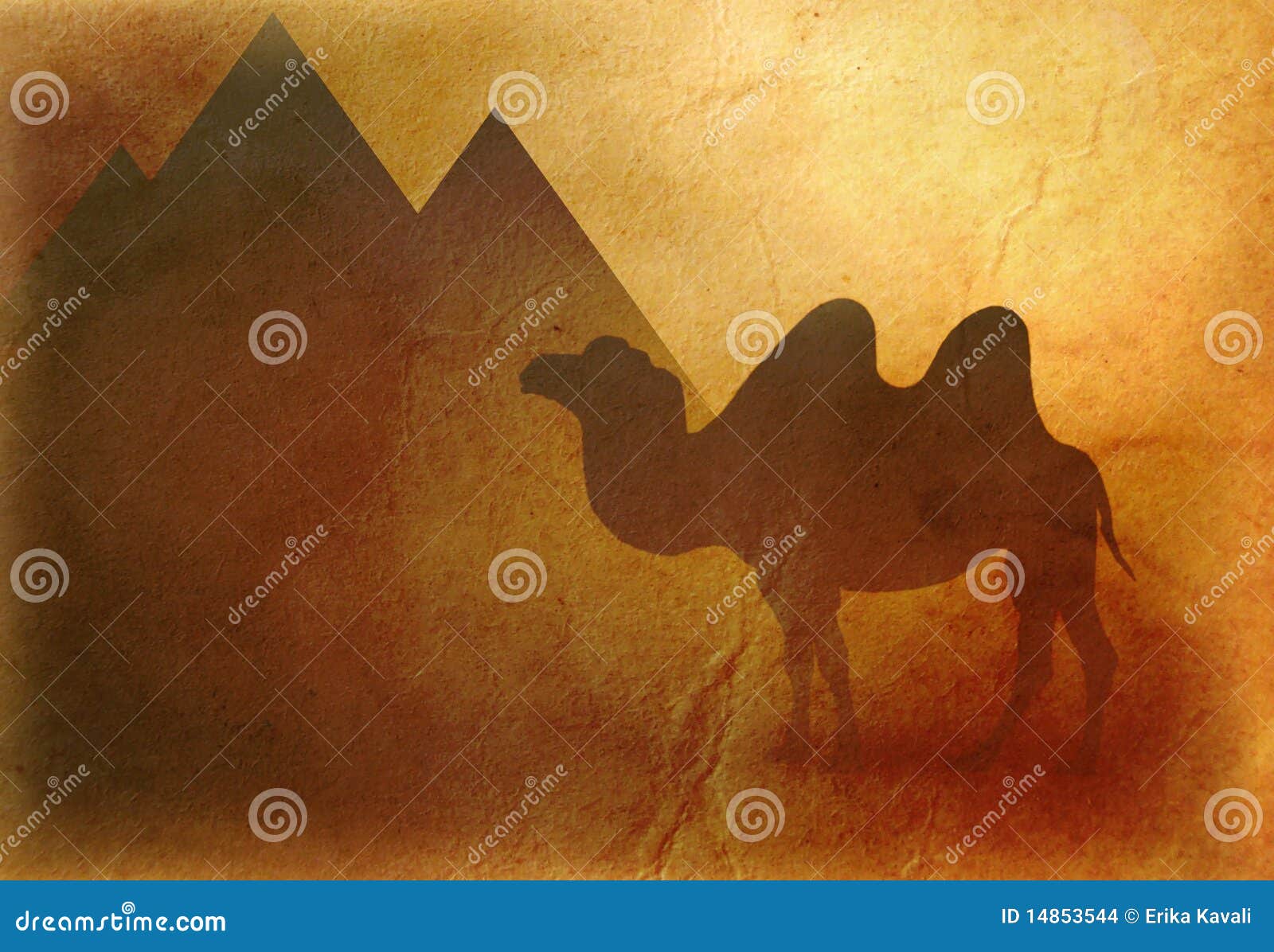 Egypt Camel And Pyramids Background Royalty-Free Stock Image ...