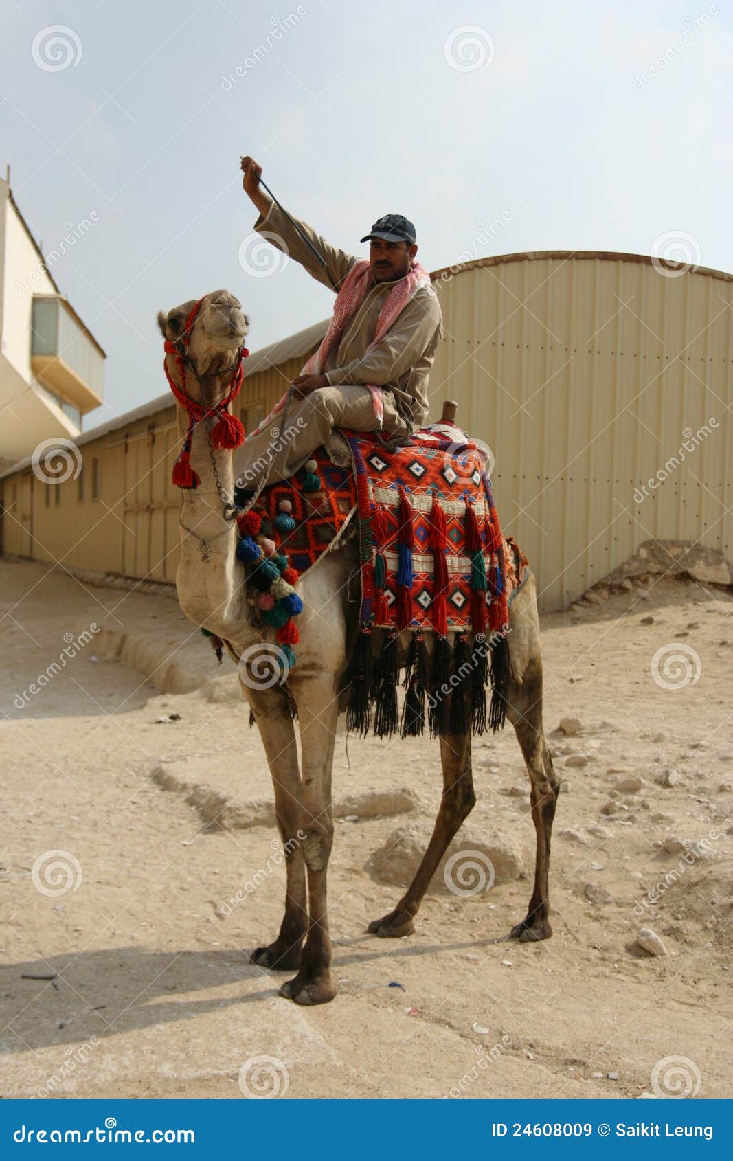 Egypt Camel Rider editorial stock image. Image of arabe - 24608009