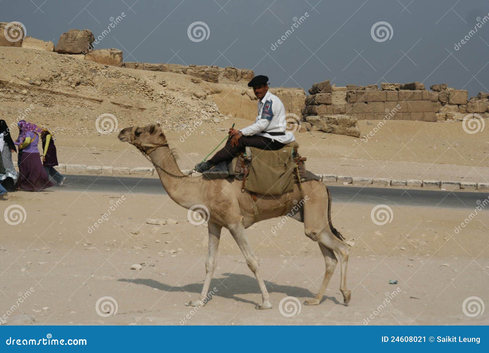 Egypt Camel Rider editorial photo. Image of copyspace - 24608021