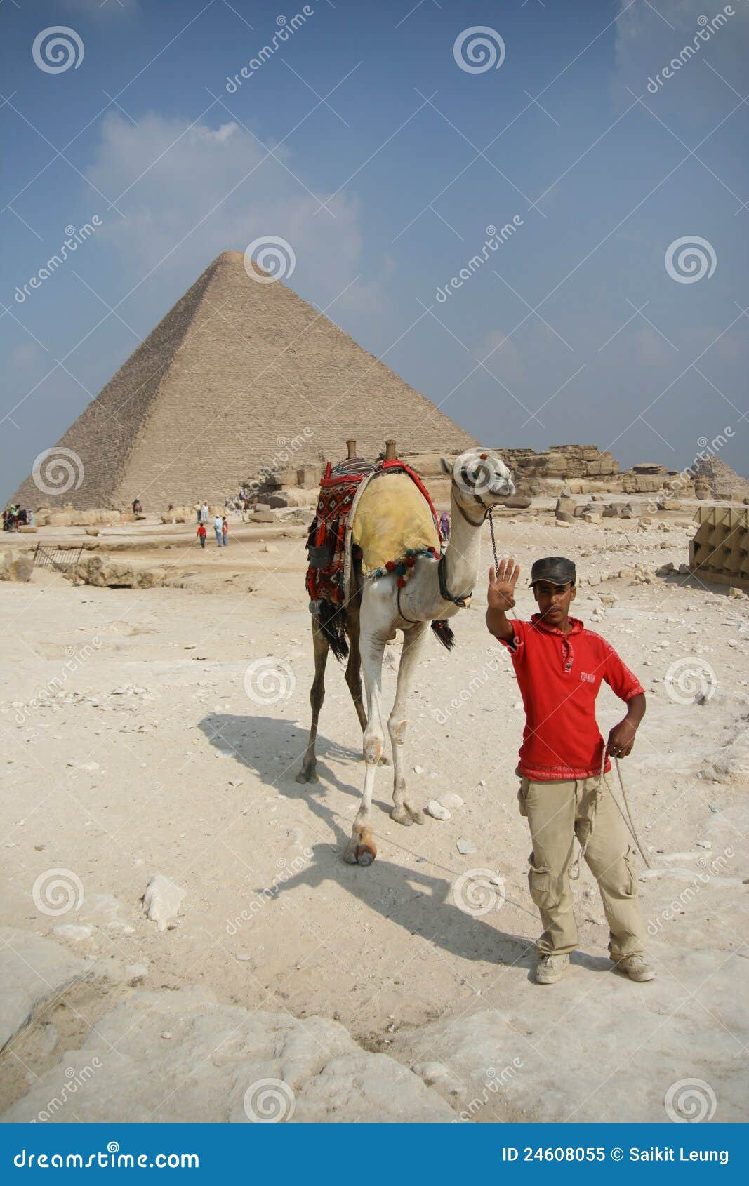 Egypt Camel Rider editorial image. Image of desert, dead - 24608055