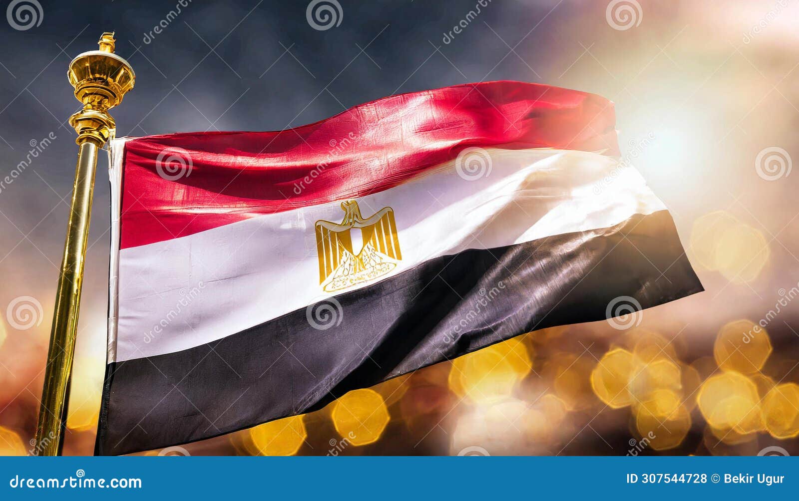 Egypt Flag Waving on the Wind Stock Illustration - Illustration of ...
