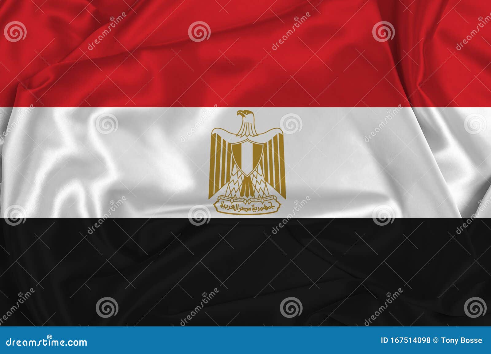 Egypt Flag Vector Illustration On White Background. Egypt National Flag ...