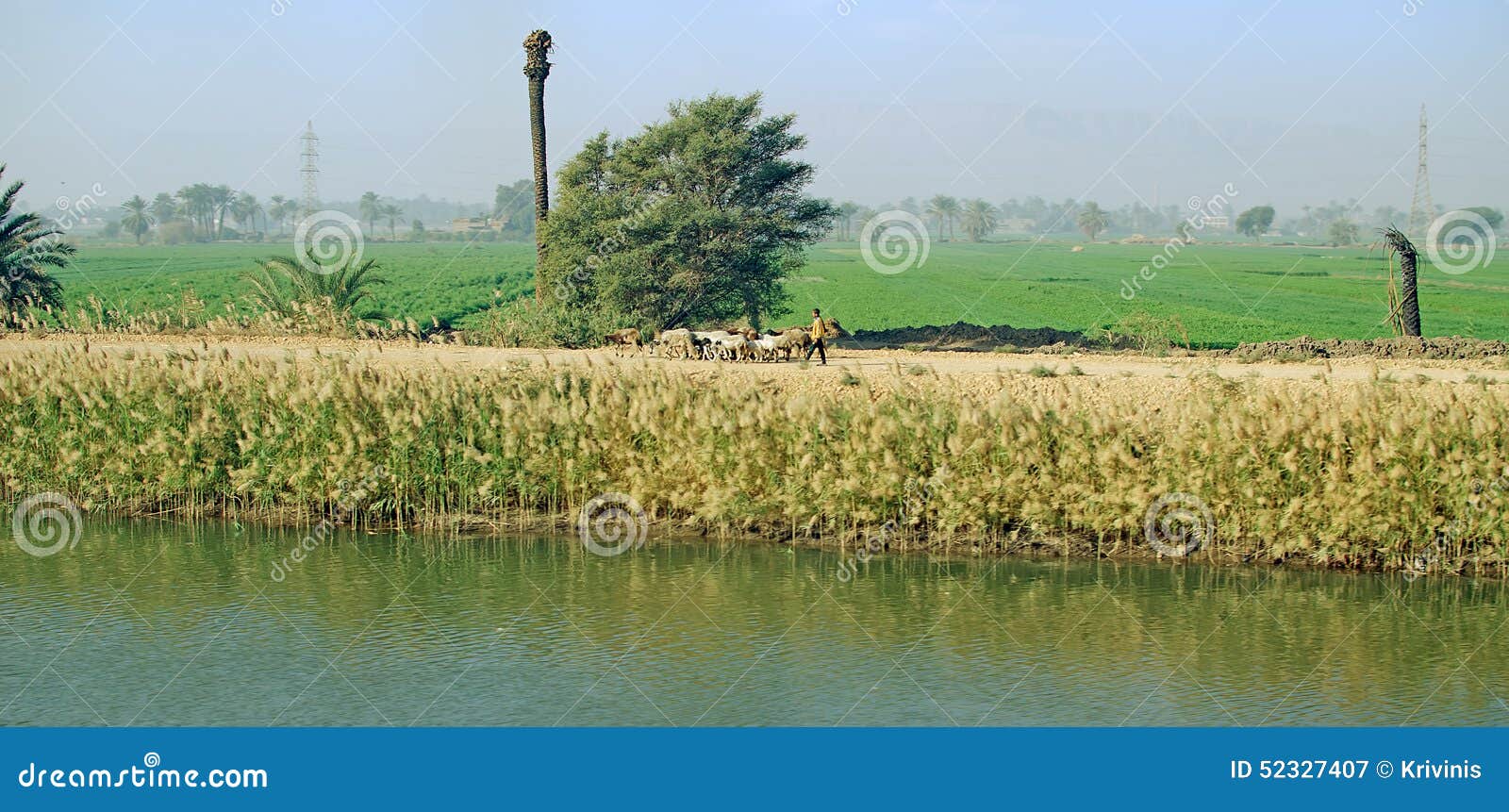 Nile River Basin Carrying Life Egyptians Trying To Sell Fish To Ships ...