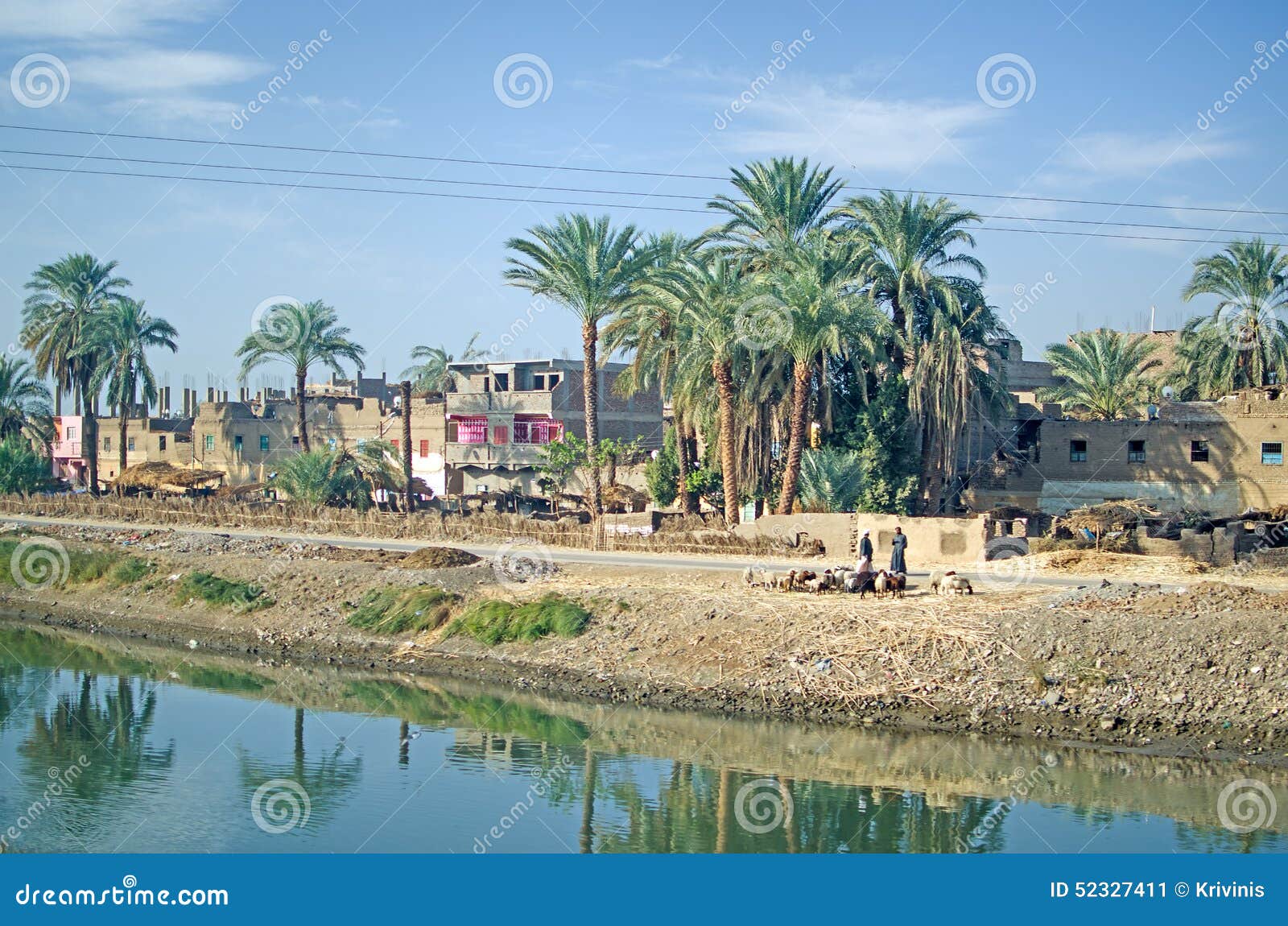 Egypt. Oasis Next To Nile River Editorial Photo - Image of sunlight ...