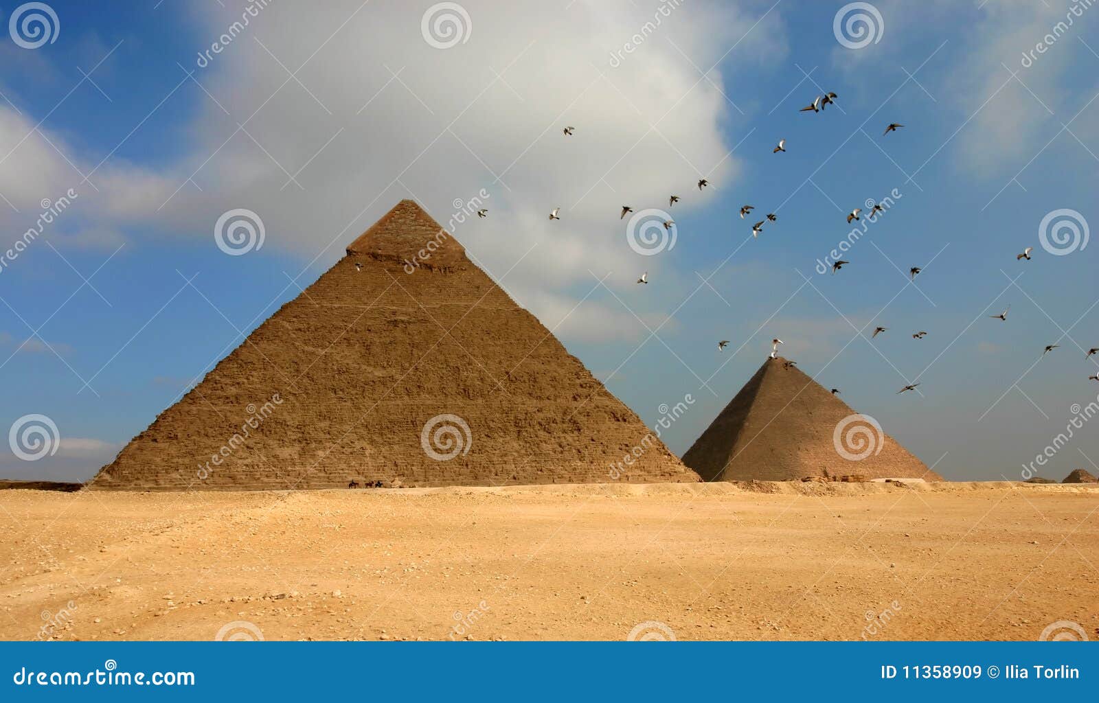 Egypt pyramids and birds stock image. Image of khufu - 11358909