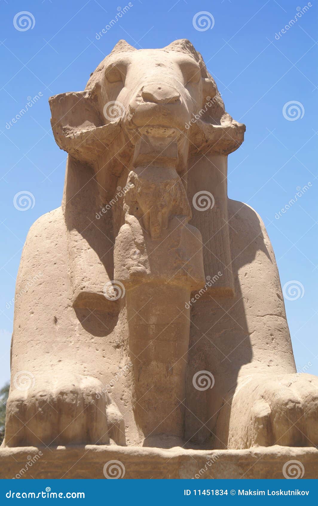 Egypt ram stock photo. Image of praying, luxor, sandstone - 11451834