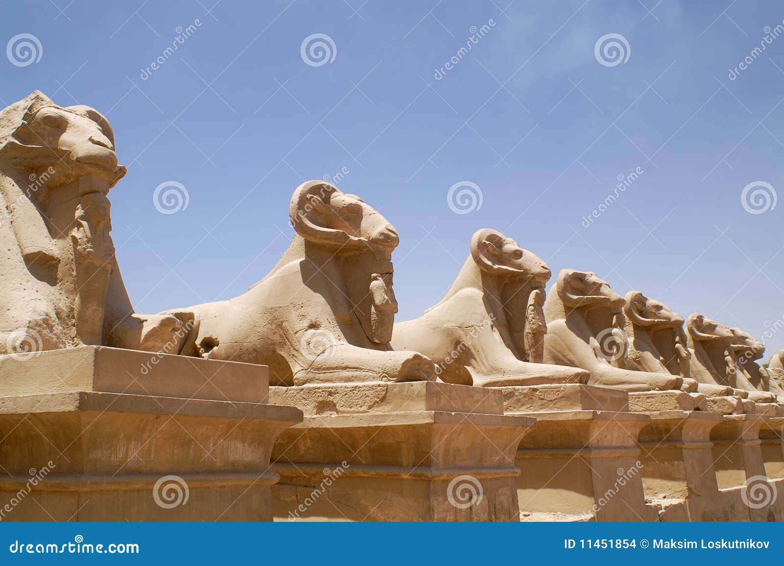 Egypt ram stock photo. Image of illuminated, place, luxor - 11451854