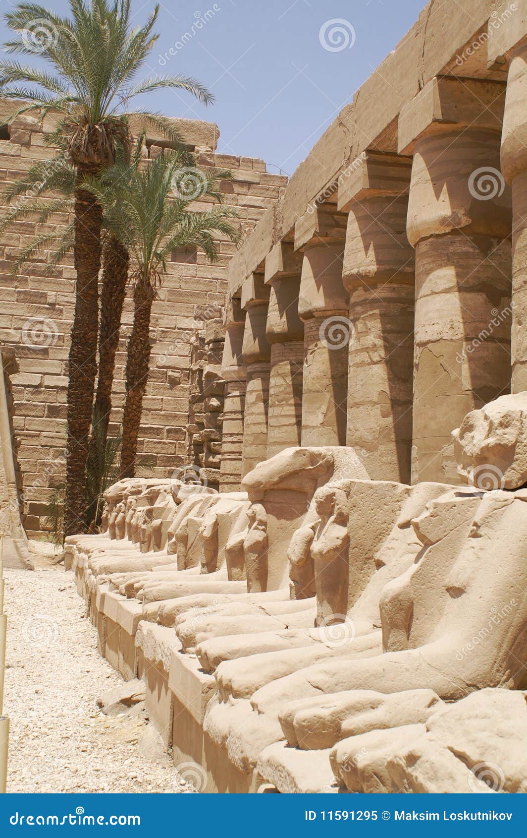 Egypt ram stock image. Image of luxor, archaeology, antique - 11591295