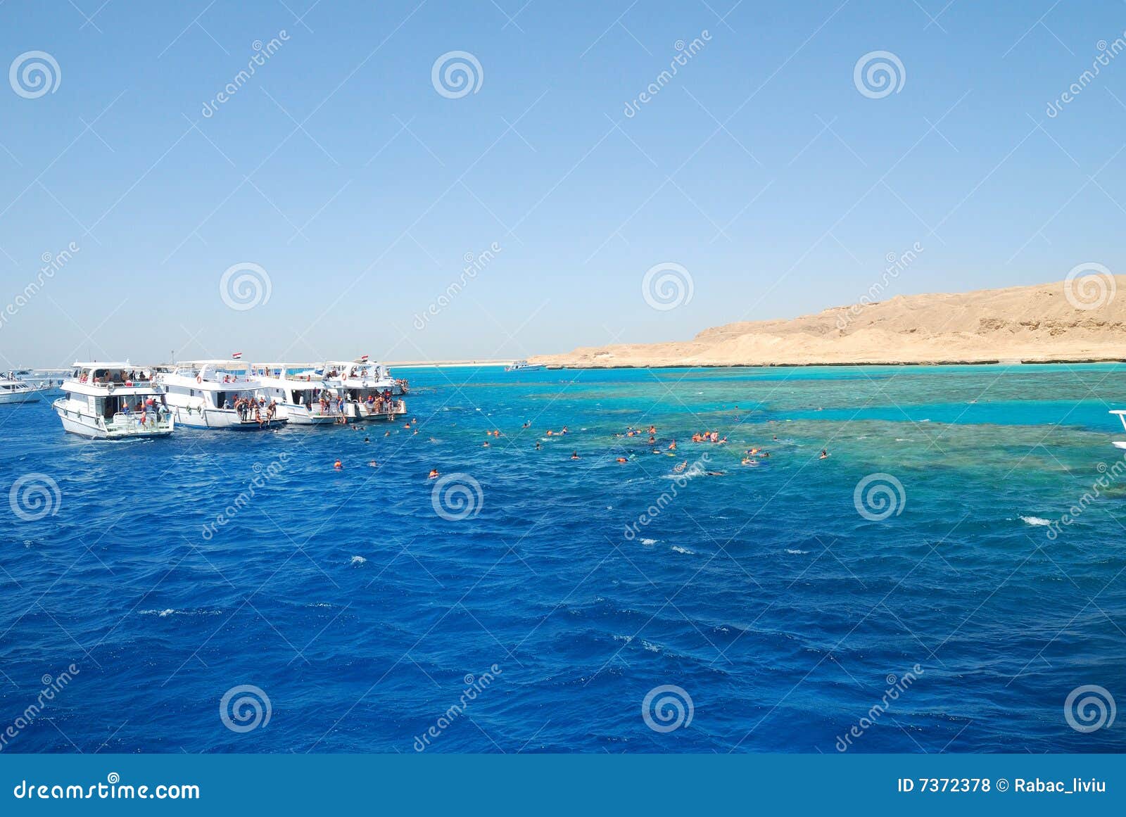 Egypt Red Sea stock photo. Image of travel, snorkeling - 7372378