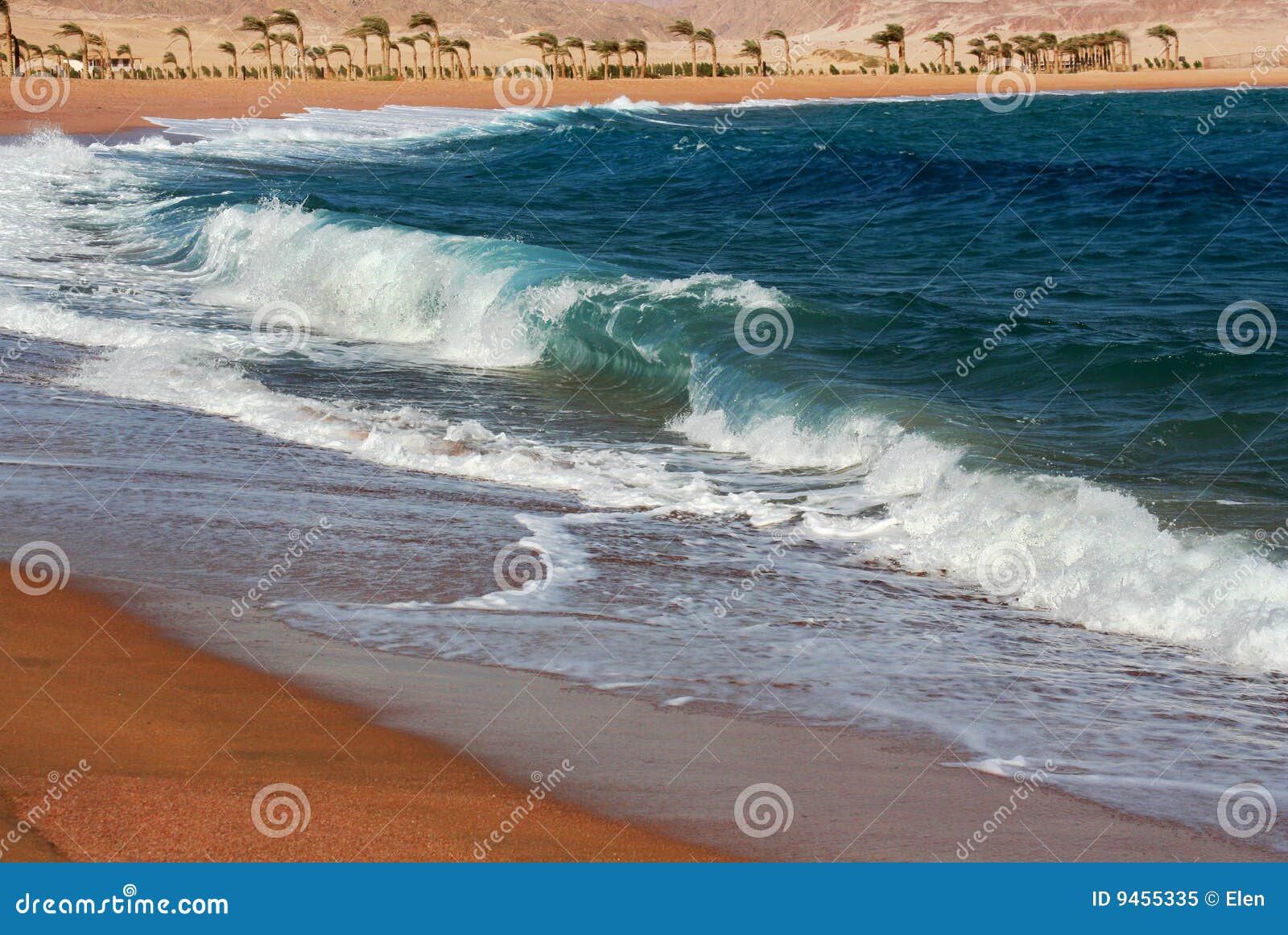 Egypt. Red sea stock image. Image of holidays, natural - 9455335