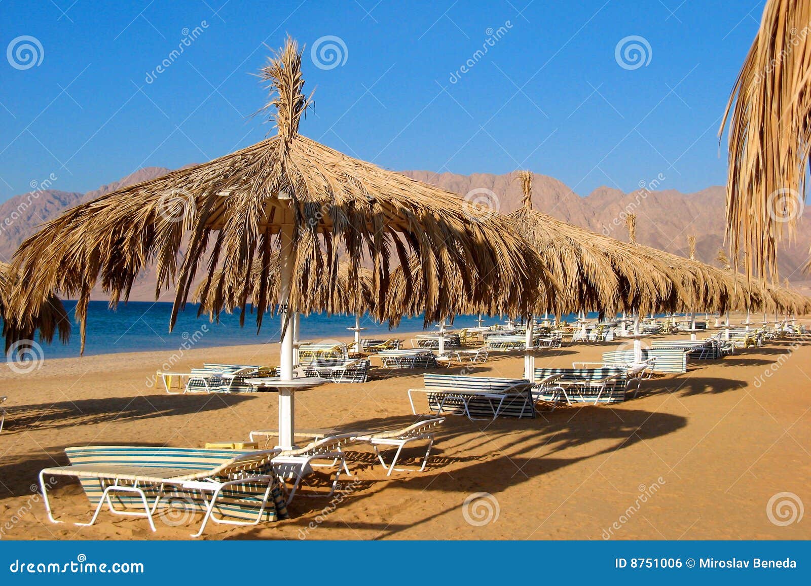 Egypt - Red sea with beach stock photo. Image of ocean - 8751006