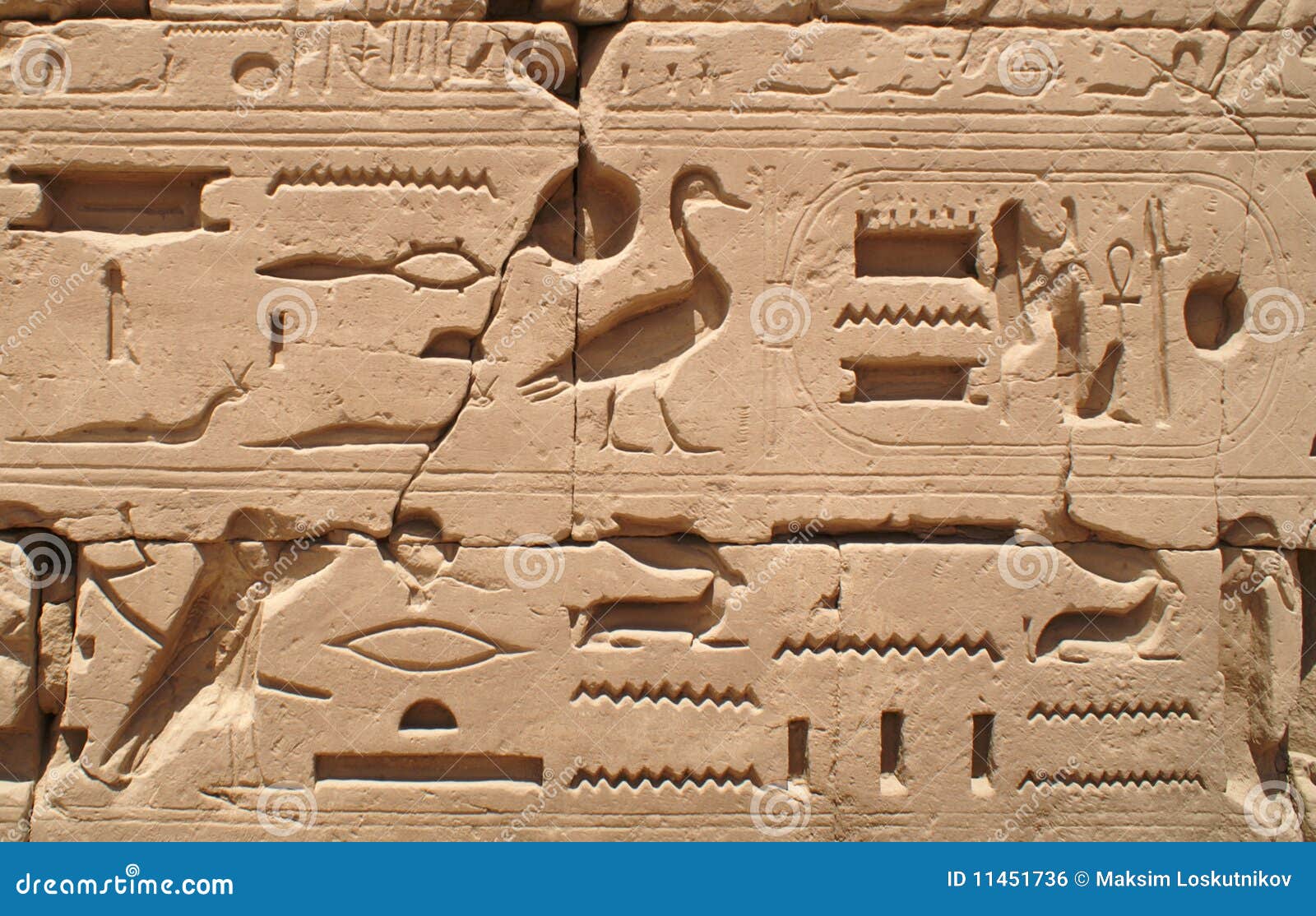 Egypt sign 1 stock photo. Image of egyptian, luxor, relief - 11451736