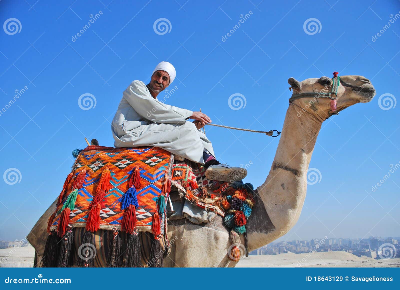 Egyptian camel rider editorial stock image. Image of pyramids - 18643129