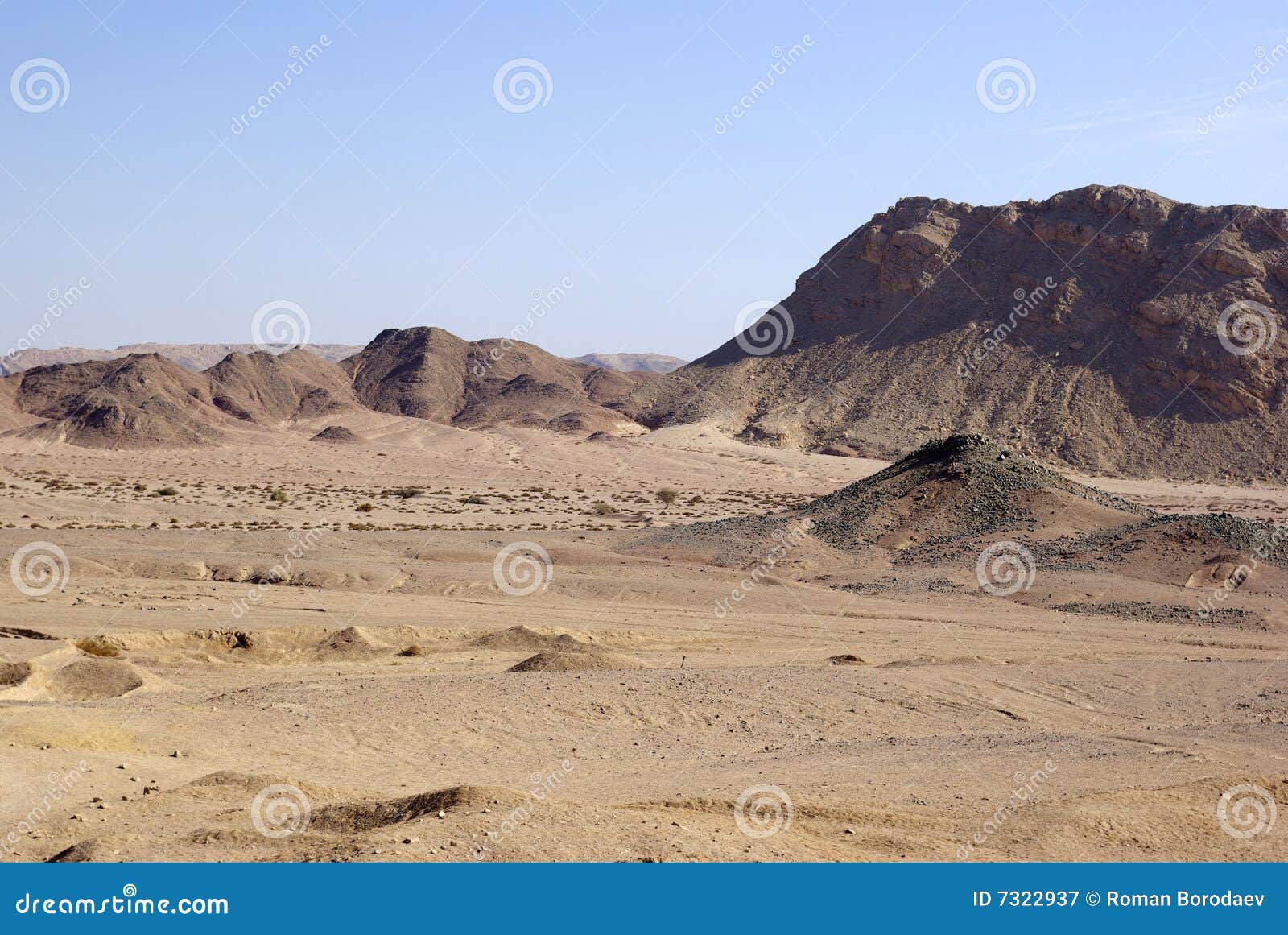 Egyptian Desert In Giza Royalty-Free Stock Photo | CartoonDealer.com ...