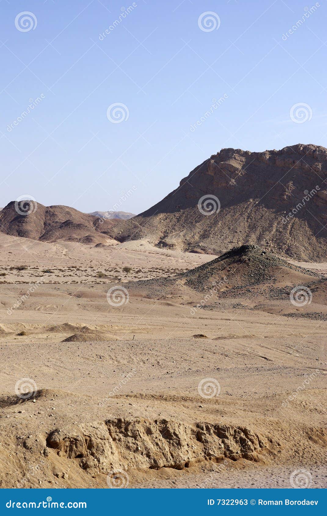 Egyptian Desert. Royalty-Free Stock Photography | CartoonDealer.com ...