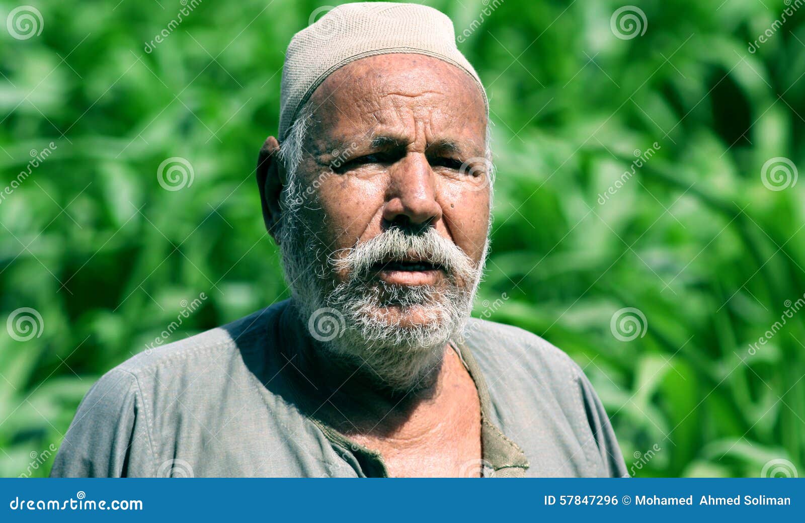 Poor Egyptian Farmer in Egypt Editorial Photo - Image of arabian, field ...